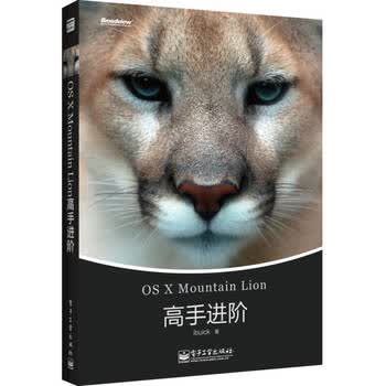 OS X Mountain Lion高手进阶 ibuick