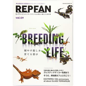 【包邮】订阅REP FAN 生活综合杂志 日本日文原版 年订3期原版