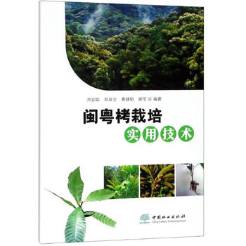 闽粤栲栽培实用技术 洪宜聪 等  书籍