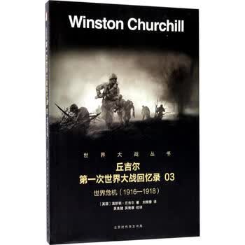 次世界大战回忆录 3 1916-1918