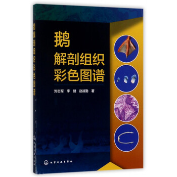 鹅解剖组织彩色图谱