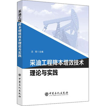 采油工程降本增效技术理论与实践