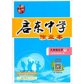 启东系列 启东作业 九年级 化学下册 人教版   2021年春季