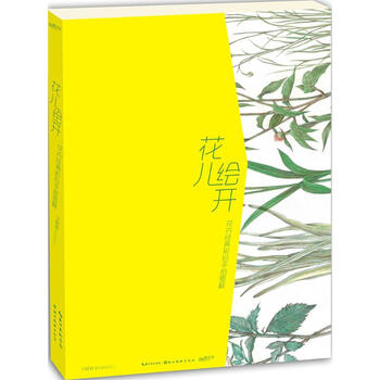 花儿绘开 文静   书籍