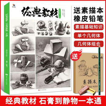 【】符腾飞 经典教材石膏到静物一本通 2021烈公文化 照片结构解析 石膏像人物