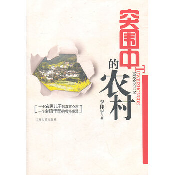 突围中的农村