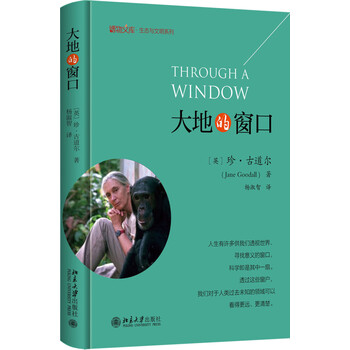 大地的窗口