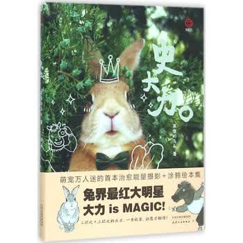 史大力 英俊的马头  作 书籍