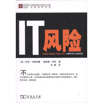IT风险