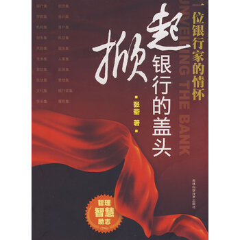 掀起银行的盖头 张衢 著