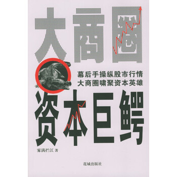 大商圈 资本巨鳄 雾满拦江 花城出版社