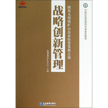 战略创新管理 鞍钢集团矿业公司 作 书籍