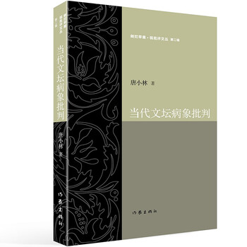 当代文坛病象批判（剜烂苹果.锐批评文丛  第二辑）