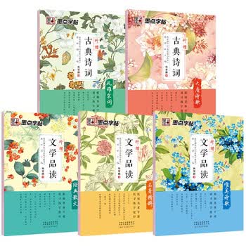 墨点字帖 行楷字帖初学者成人硬笔书法字帖 古典诗词和文学品读 5本套装