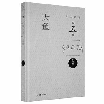 正版当日发货 中国好诗第五季：大鱼  小说徐南鹏中国青年