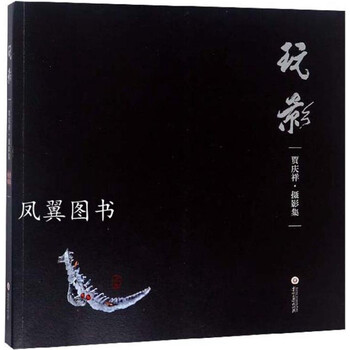 玩影 贾庆祥著 贵州大学出版社