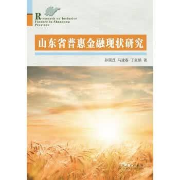 山东省普惠金融现状研究【正版图书】