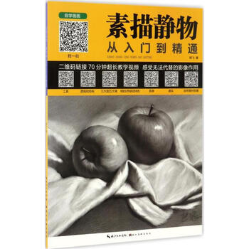 素描静物从入门到精通 熊飞  书籍