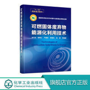 可燃固体废弃物能源化利用技术 可燃固体废物 能源化利用 热处理 可燃固体废弃物能源化