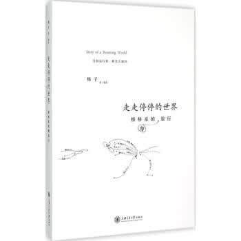 走走停停的世界 格子  书籍