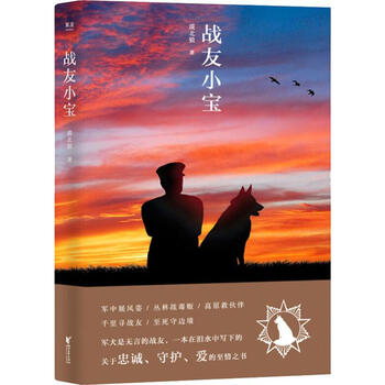 战友小宝