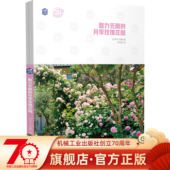 魅力无限的月季玫瑰花园