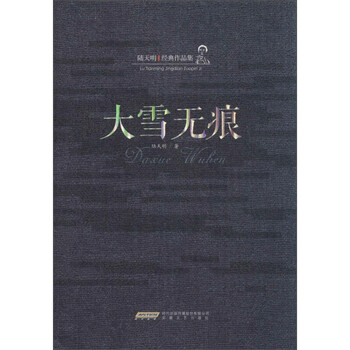 陆天明经典作品集：大雪无痕