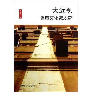 大近视:香港文化蒙太奇 袁兆昌 作 书籍