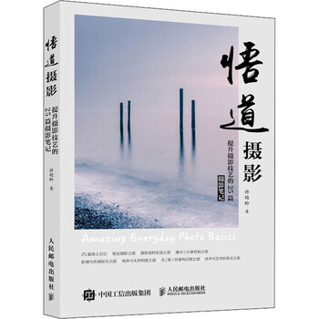 悟道摄影 提升摄影技艺的25篇摄影笔记 孙晓岭  书籍