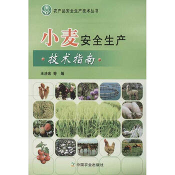 小麦安全生产技术指南 王法宏,等 编 作 书籍
