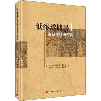 低渗透储层裂缝表征与预测