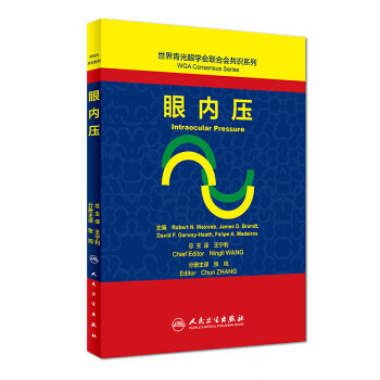 眼内压【正版图书】