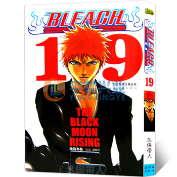 【3本】 BLEACH 境·界 死神19漫画 第19册 黑月升起 [日]久保带人 境界死神漫画 日本