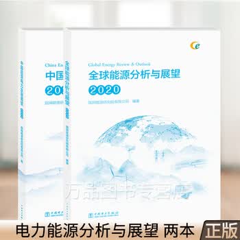 全2册 中国能源电力发展展望+全球能源分析与展望能源与电力分析年度报告系列 2020国网