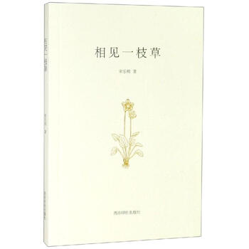 相见一枝草 宋乐明  书籍