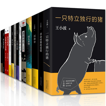 王小波全集【17册】一只特立独行的猪/沉默的大多数/爱你就像爱生命/黄金时代/白银时代 王小波作品集正版图书