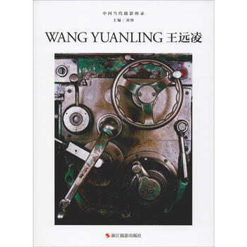 中国当代摄影图录 王远凌 刘铮 编 书籍