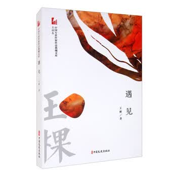 遇见（中国专业作家作品典藏文库·王棵卷）