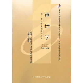 审计学专业教材 9787509517154 丁瑞玲 中国财政经济出版社一