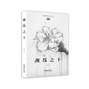 视线之下【正版图书】