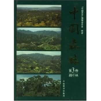 中国森林Ⅲ
