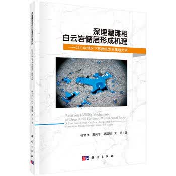 深埋藏滩相白云岩储层形成机理