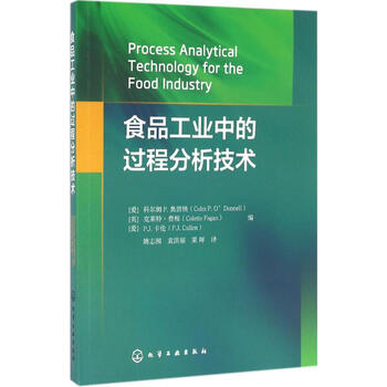 食品工业中的过程分析技术 书籍
