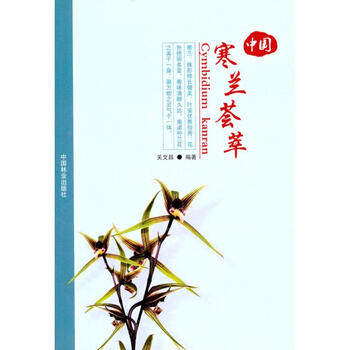 中国寒兰汇萃