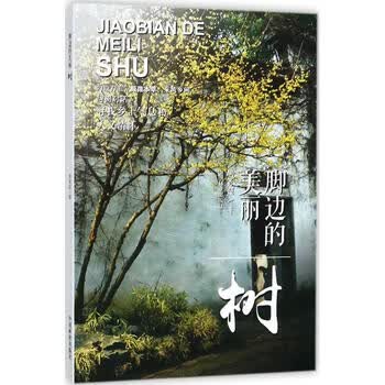 脚边的美丽树