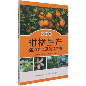 全图解柑橘生产痛点难点及解决方案