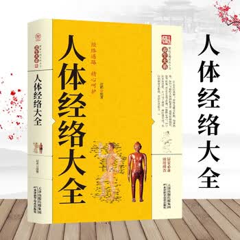 【特价专区】养生大系--人体经络大全图解手法 经络穴位快速记忆 全身经络书籍大全 零基础入门学会手法筋络中医养生