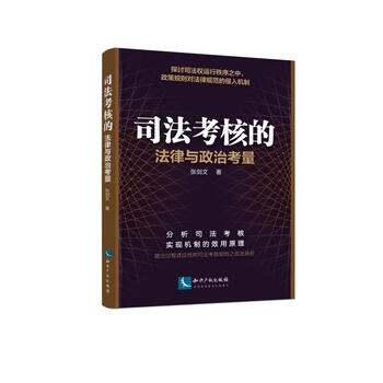 司法考核:法律与政治考量