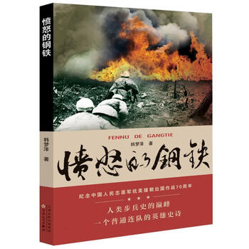 愤怒的钢铁 小说 长篇小说中国当代   图书
