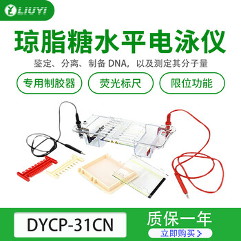 【六一牌DYCP-31DN】六一牌（LY） DYCP-31CN水平核酸电泳槽琼脂糖水平电泳仪（注）【行情 报价 价格 评测】-京东